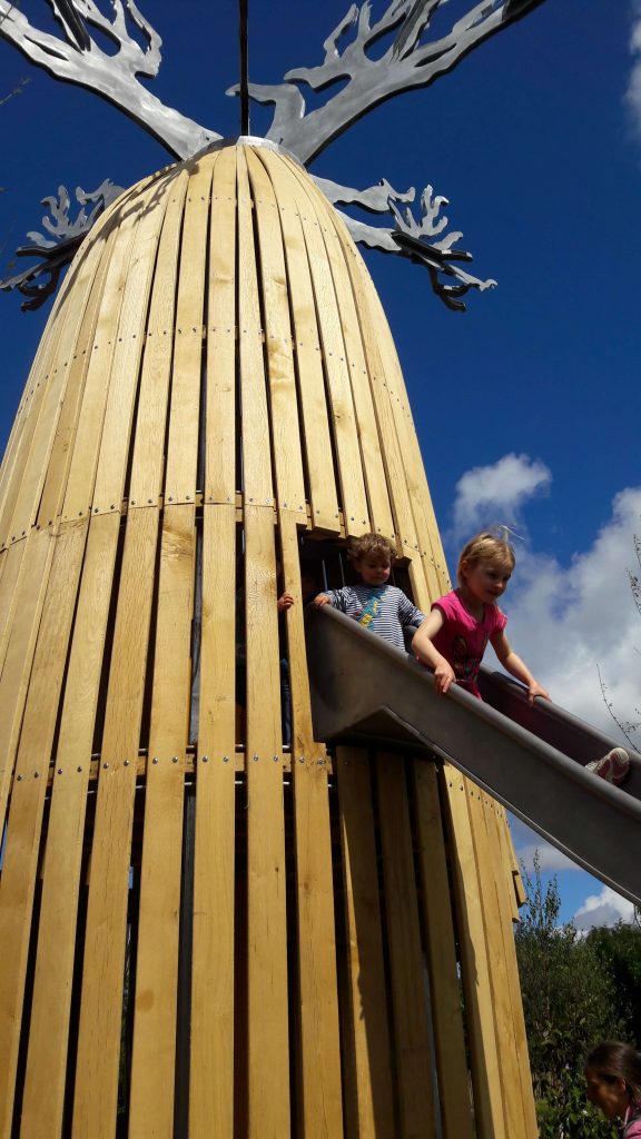 Baobab tree slide, Chester Zoo - Alchemy CE